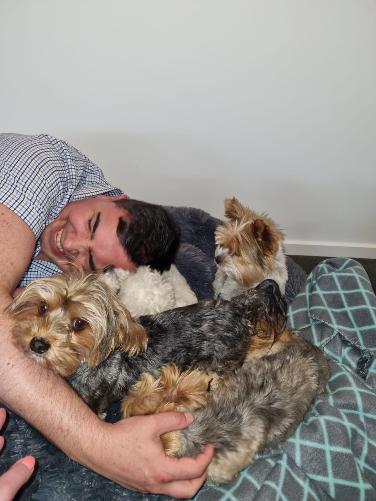 Vlooi, Patch, Bella, And Daisy Are Safely In New Zealand 🇿🇦🥰🇳🇿