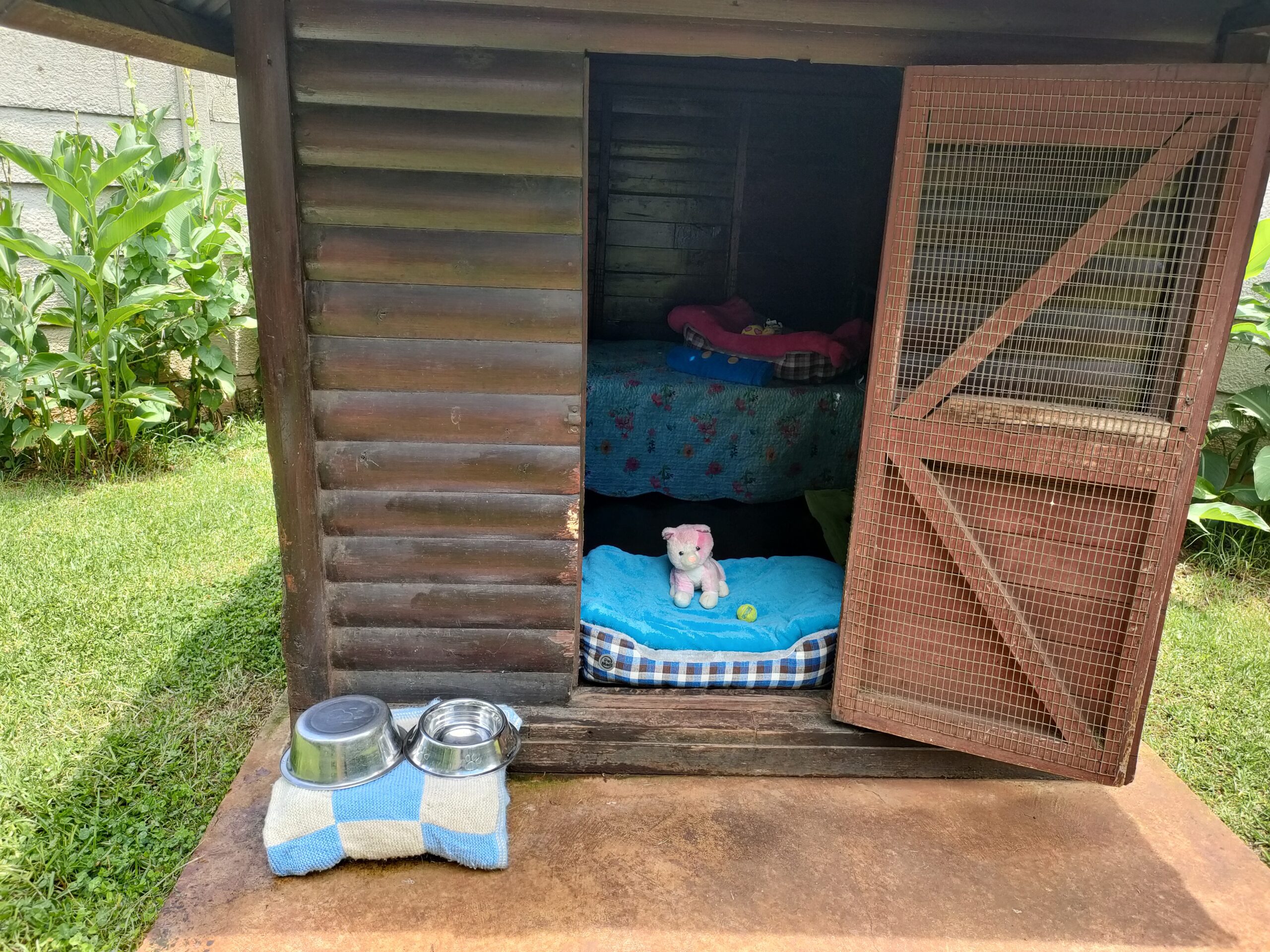 Keringa Kennels And Cattery | Pet Boarding