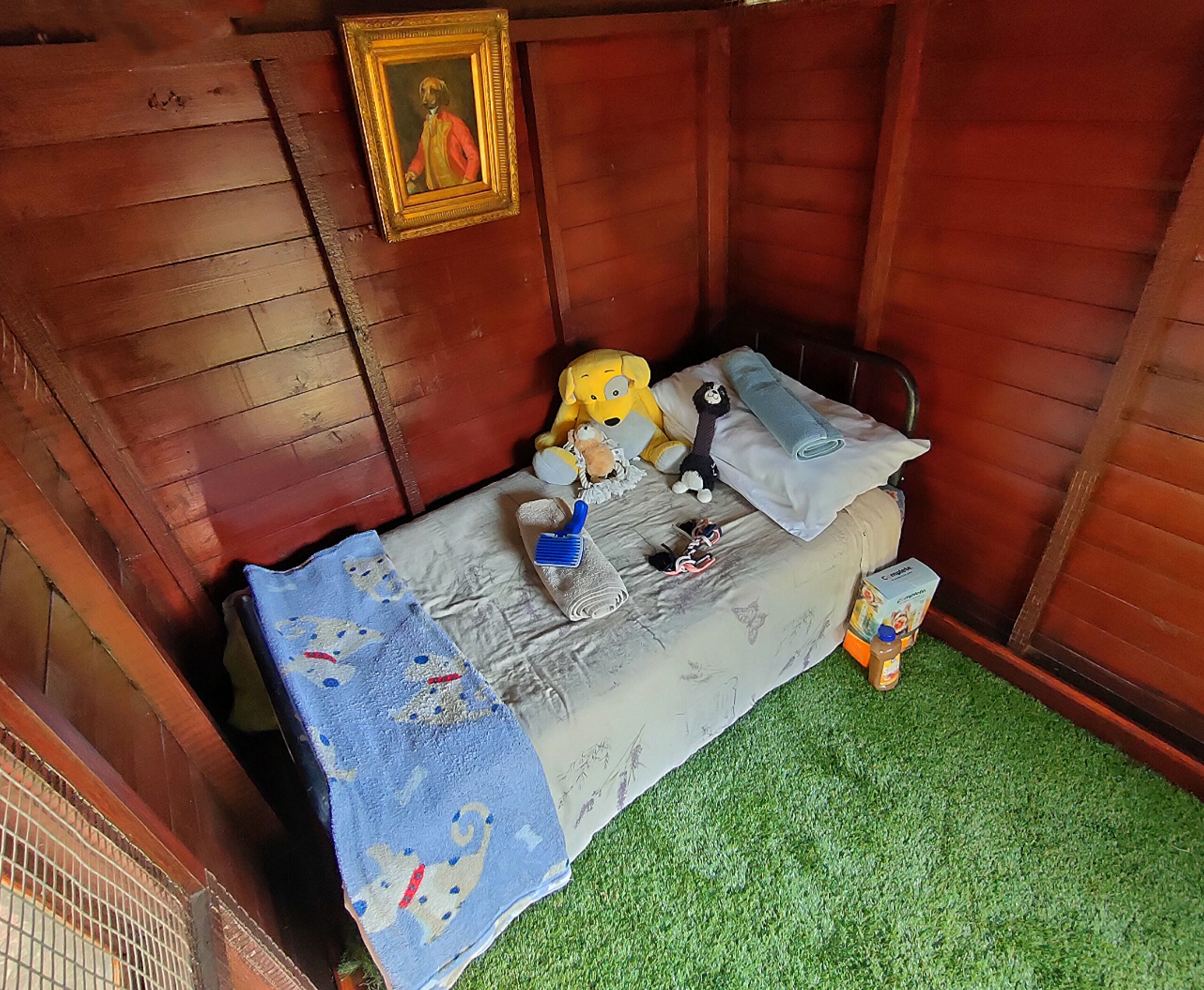 Keringa Kennels And Cattery | Pet Boarding