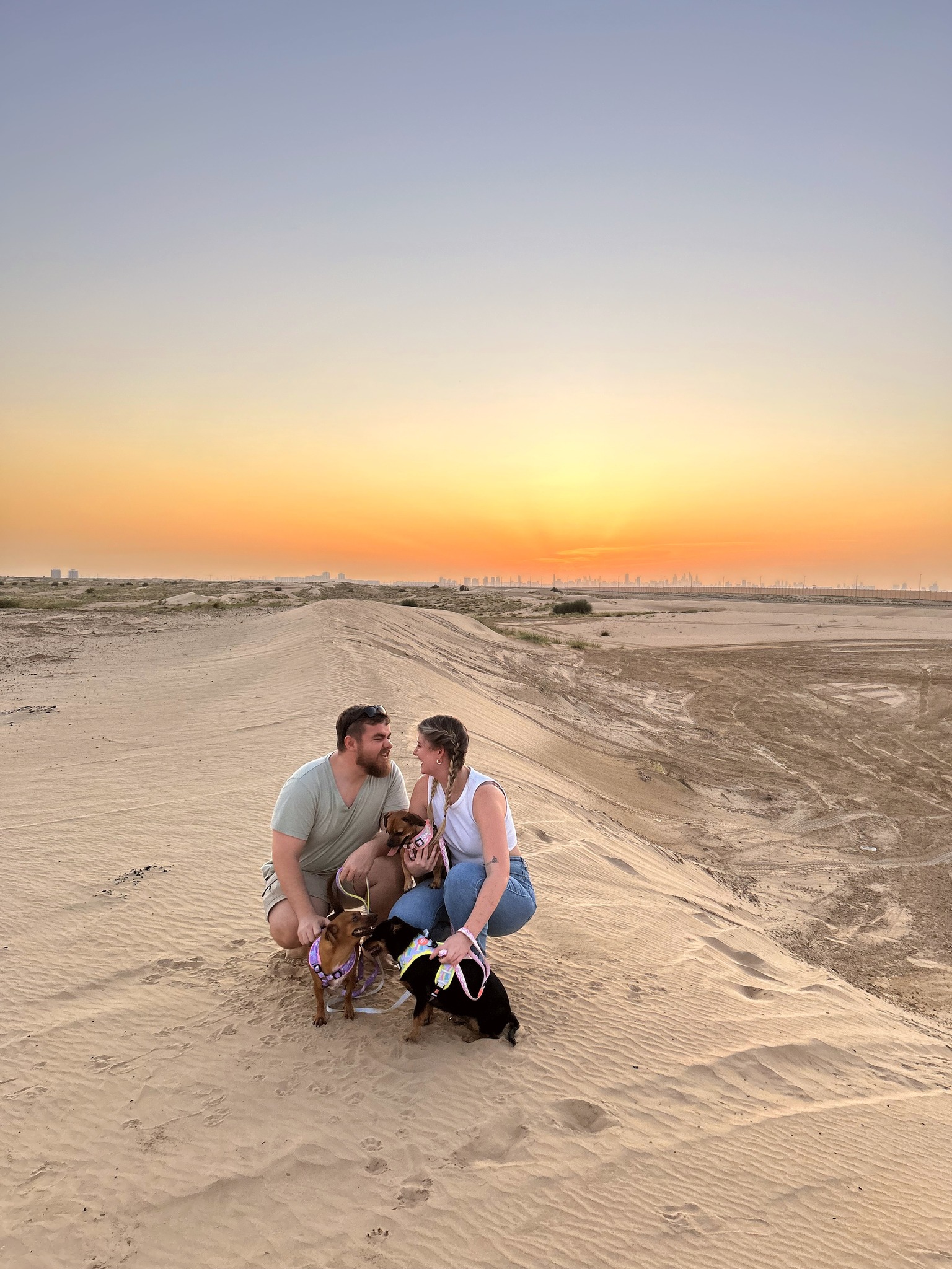 Bloeme, Thinkie, And Fleur Have Arrived Safely In Dubai 🐶 ️🇦🇪