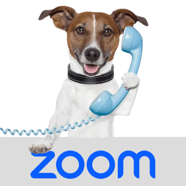 Pet Transport | Keringa-Petwings